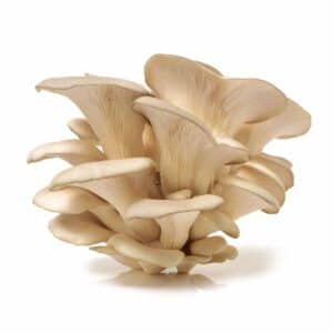 Seven Best Cremini Mushroom Substitutes | Sinful Kitchen