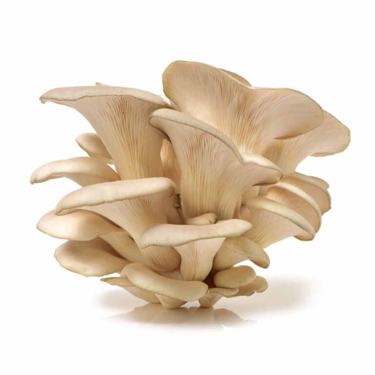 Seven Best Cremini Mushroom Substitutes | Sinful Kitchen