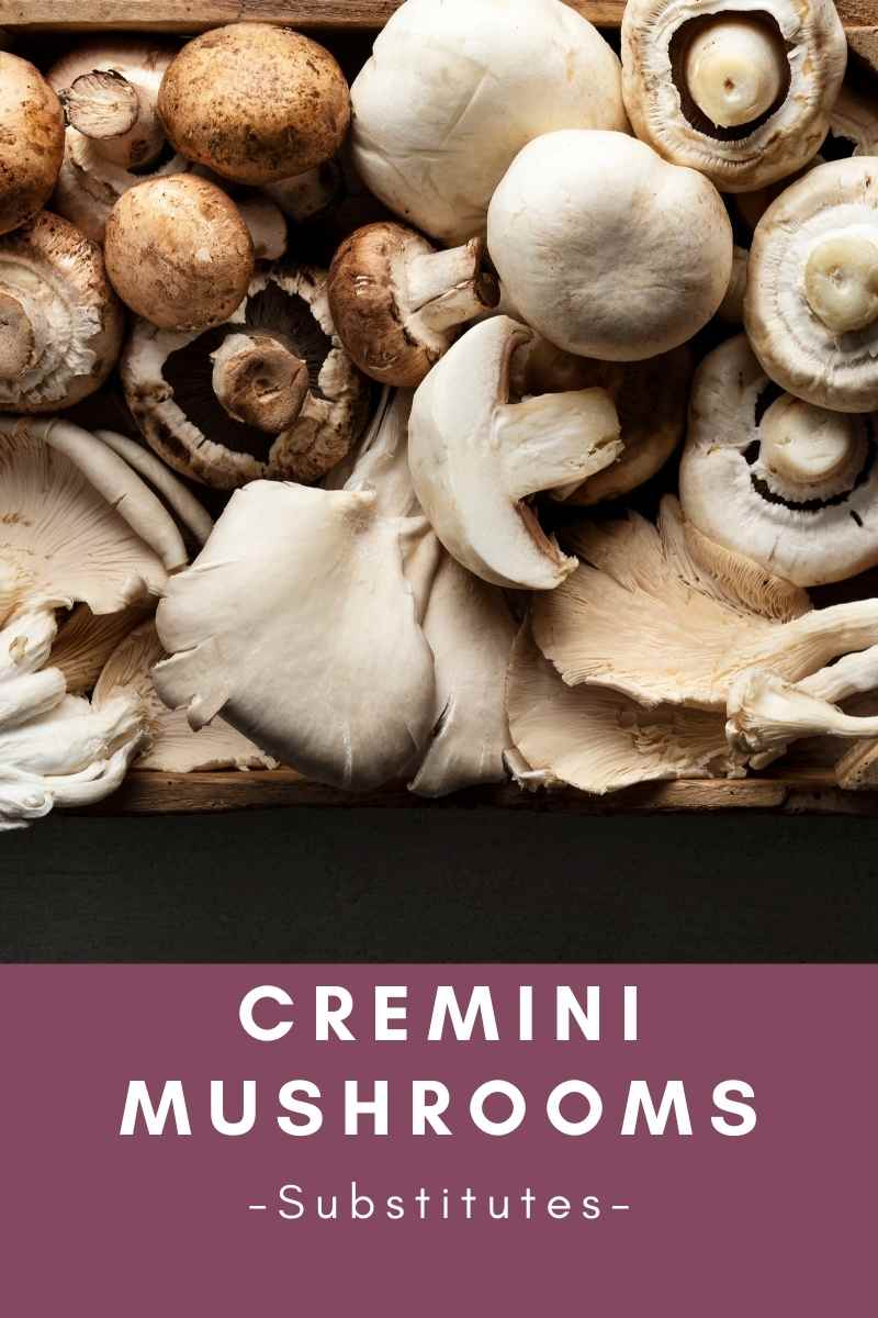 Seven Best Cremini Mushroom Substitutes | Sinful Kitchen