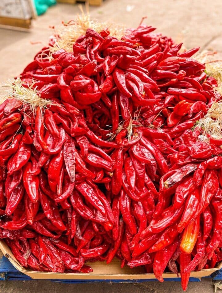 New Mexico Red Chile Sauce | Sinful Kitchen