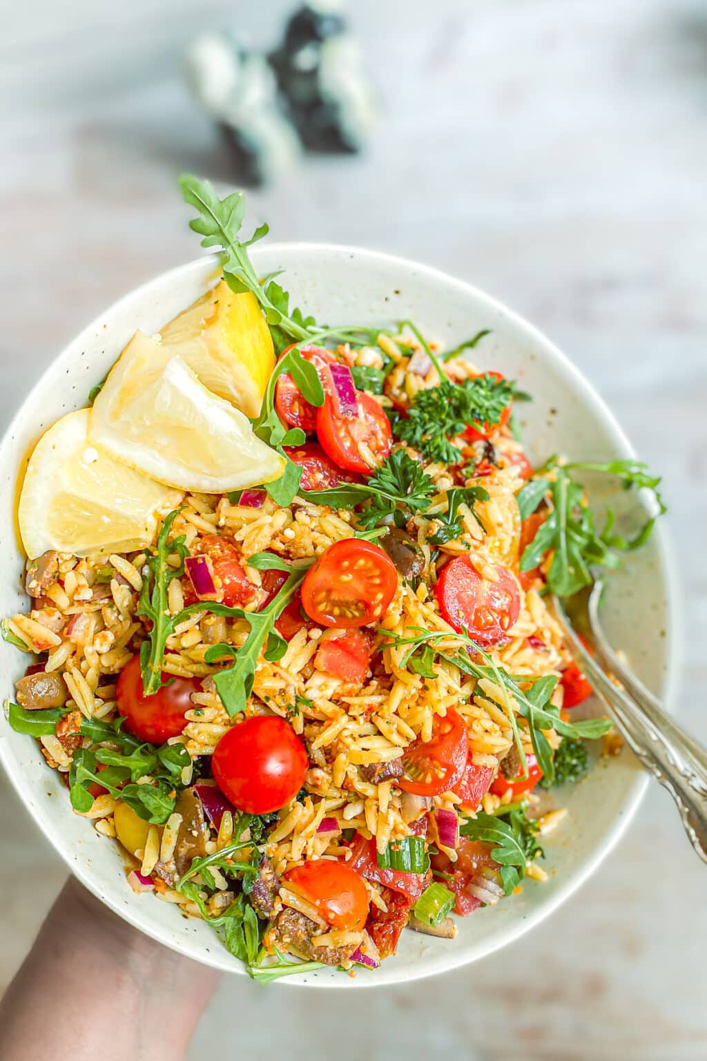 Sun-Dried Tomato Orzo Pasta Salad | Sinful Kitchen